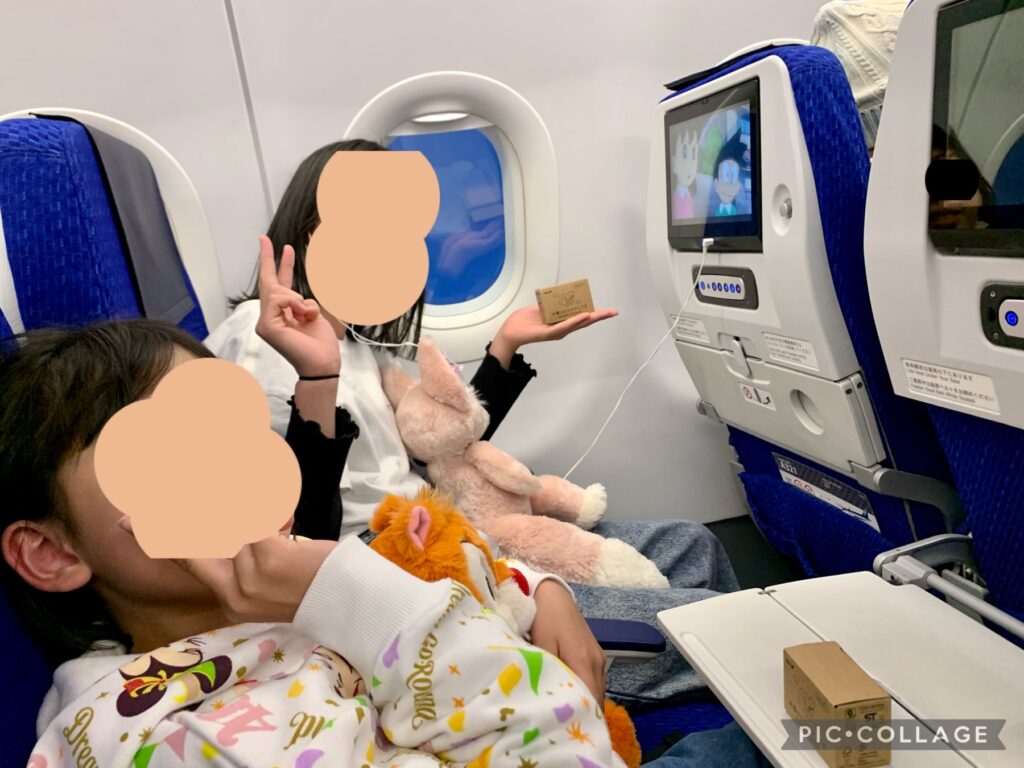 小学生と岡山からディズニー旅行 最適解はJALダイナミックパッケージ | Maikoism